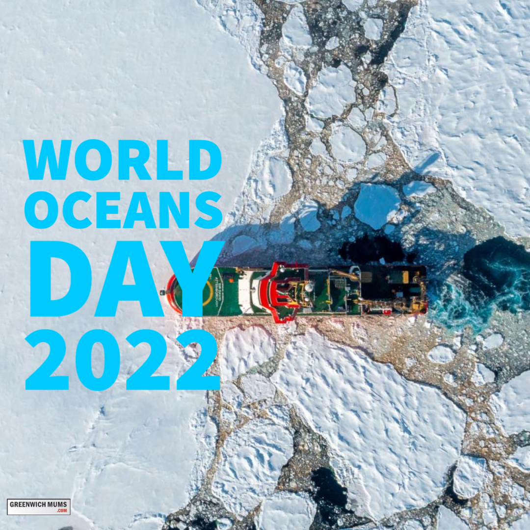 World Oceans Day 2022 - Greenwichmums